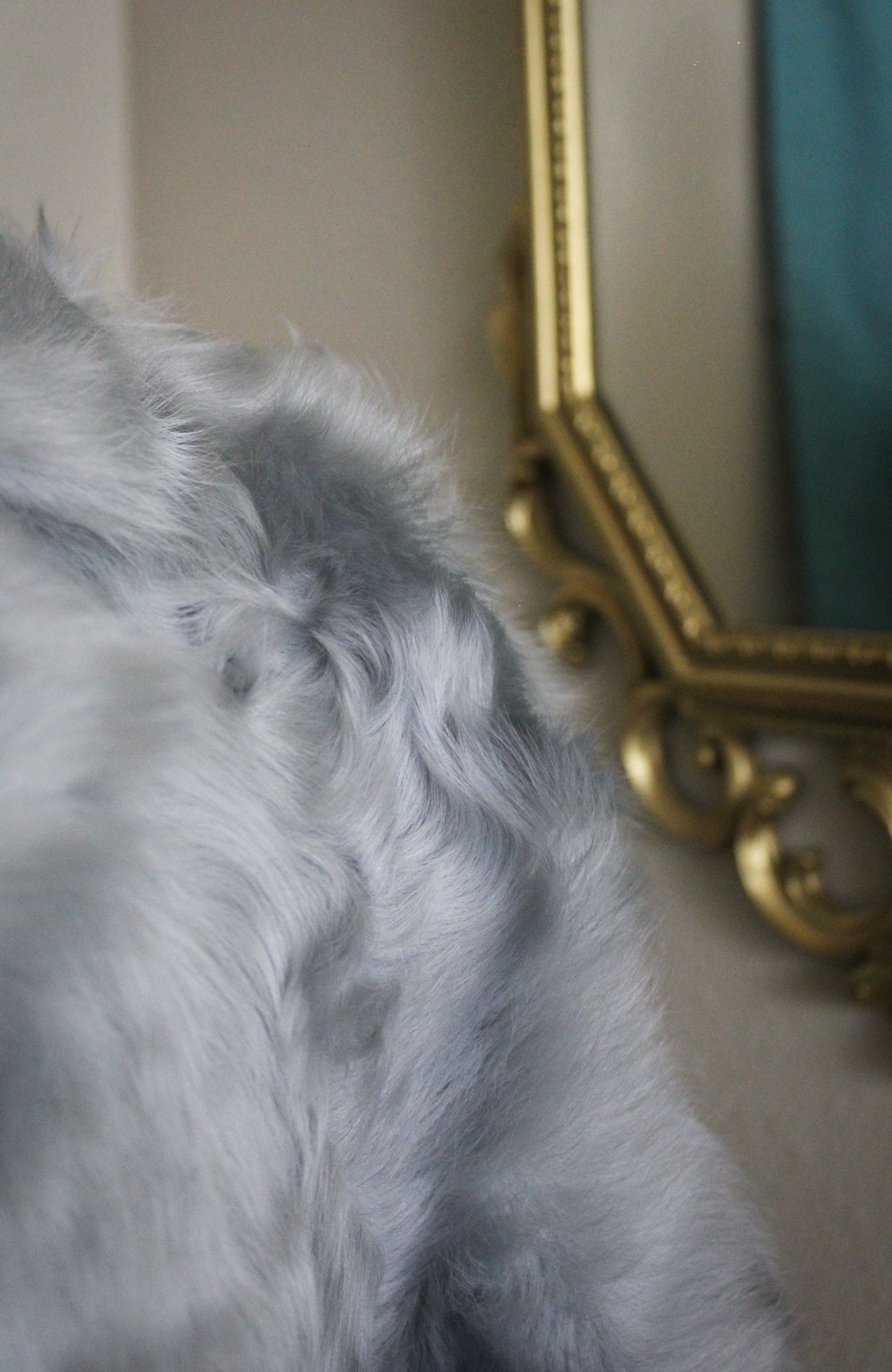 Vintage Soft Curly Mountain Goat Coat In Silver Gray with Long Sleeves ...