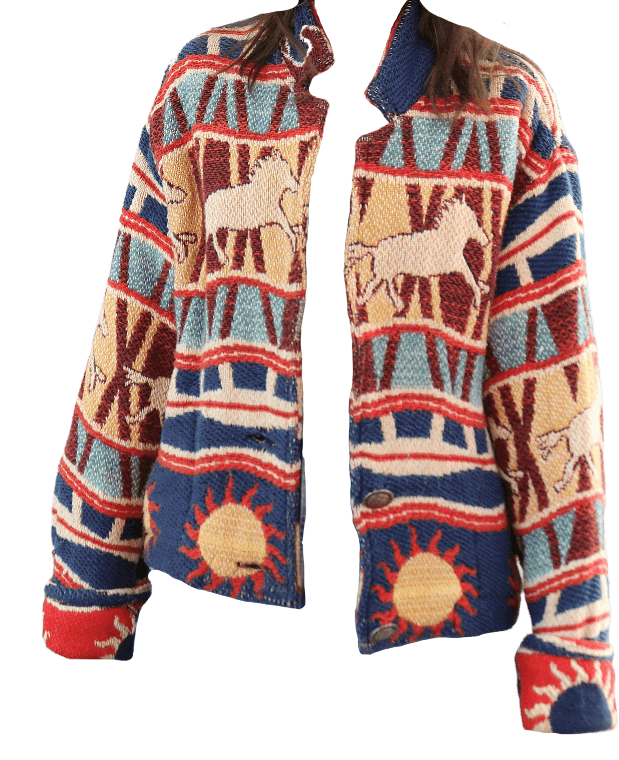 Vintage Multicolor Geometric and Horse Print Jacket | Shop THRILLING