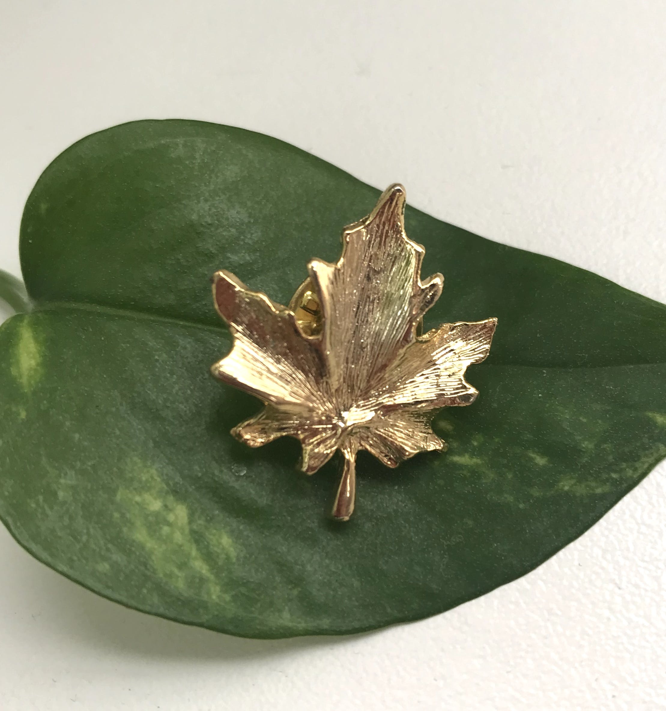Vintage Gold Tone Leaf Pin | Shop THRILLING