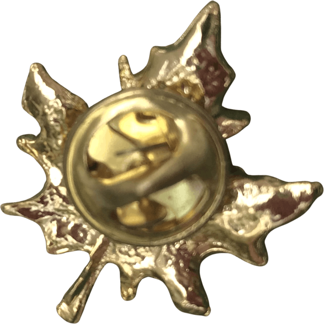 Vintage Gold Tone Leaf Pin | Shop THRILLING