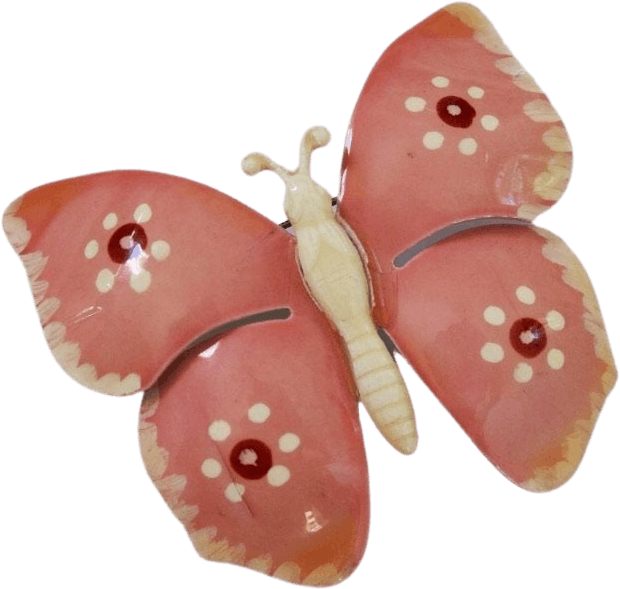 Vintage 50’s Hand Painted Pink Butterfly Pin | Shop THRILLING