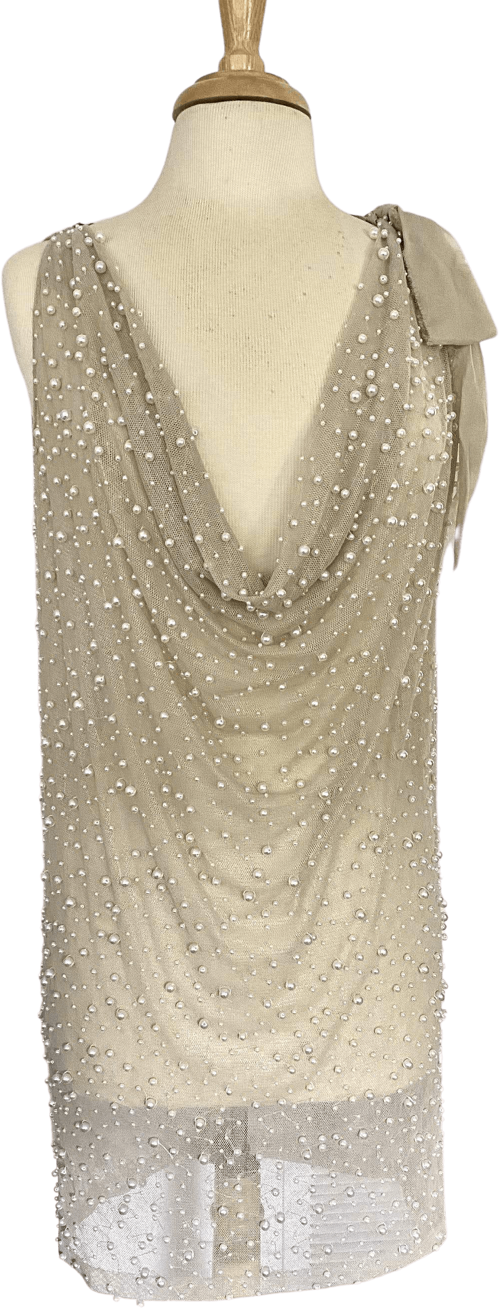 Vintage Sheer Pearl Embroidered Draped Dress | Shop THRILLING