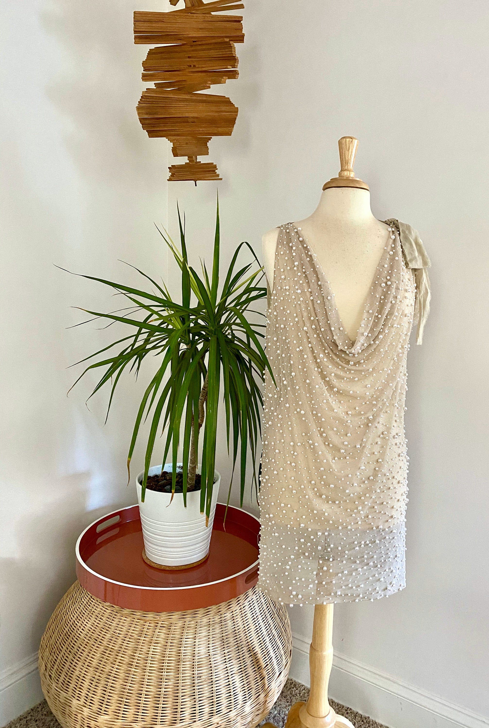 Vintage Sheer Pearl Embroidered Draped Dress | Shop THRILLING