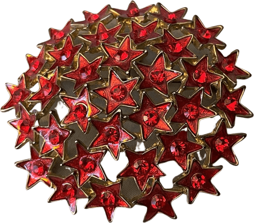 Vintage Red Rhinestone Star Brooch | Shop THRILLING