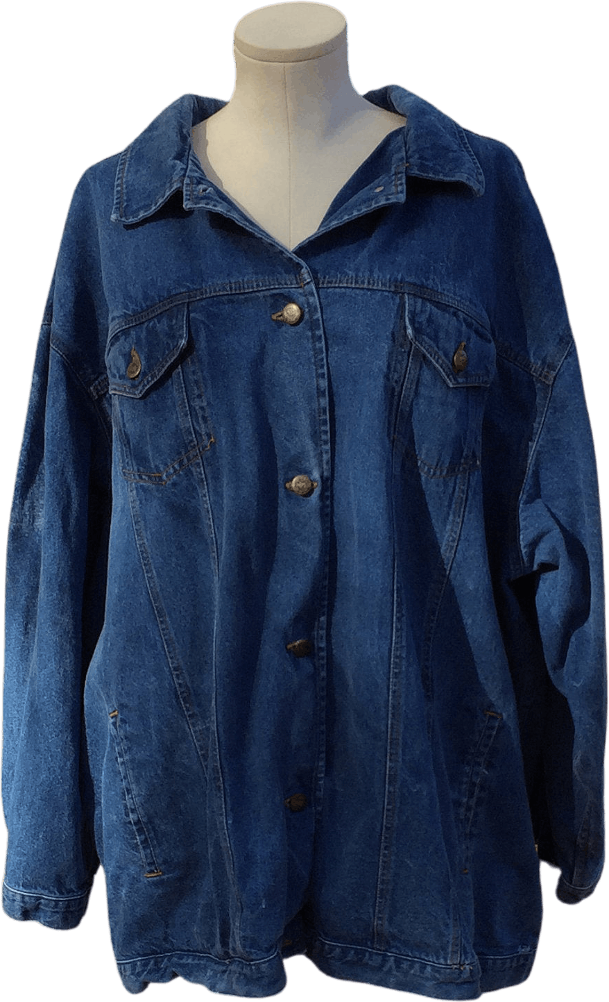 Vintage Blue Denim Button Up Jacket by Hunters Run | Shop THRILLING