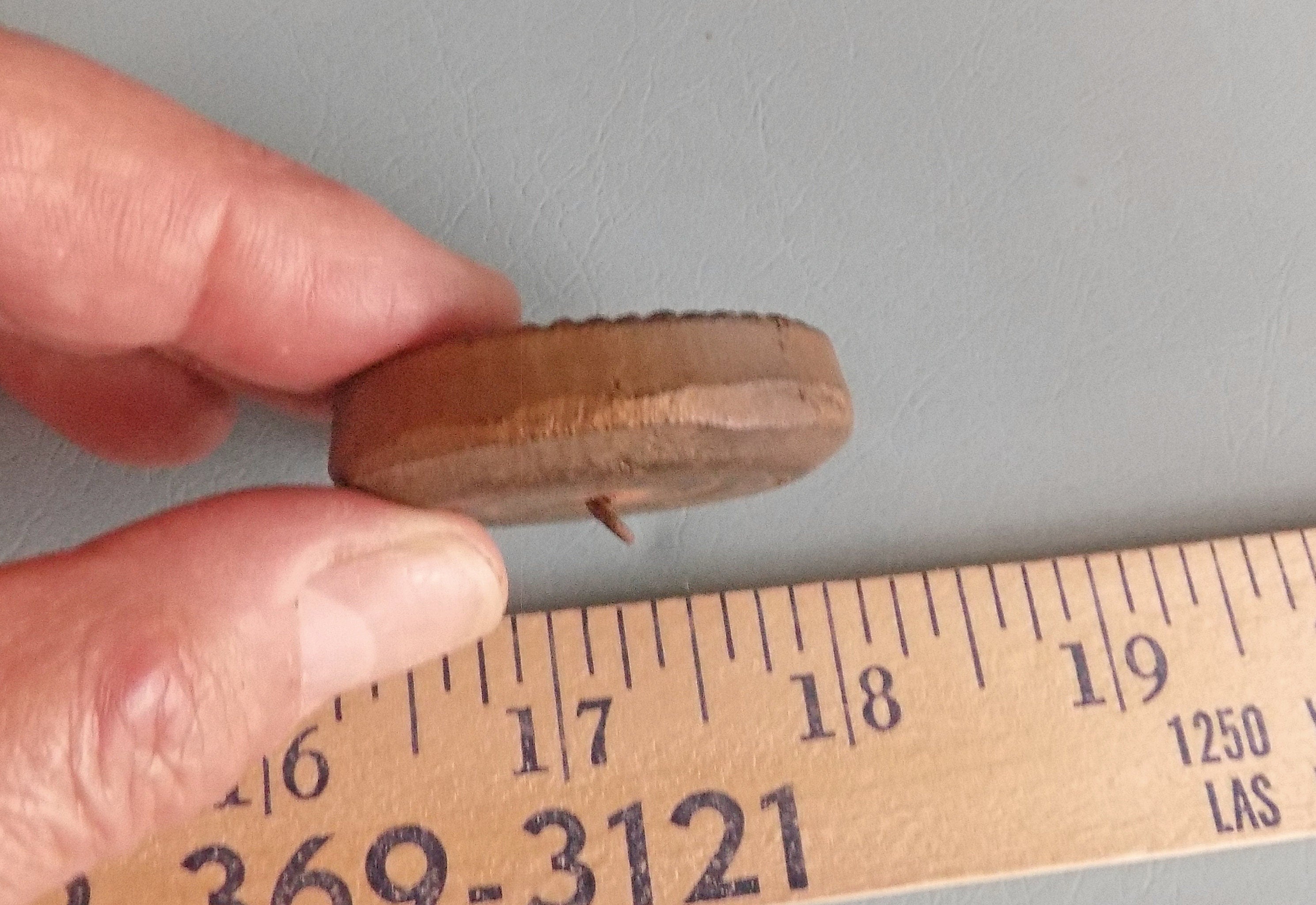 Large Antique Burwood Button with Jester Wood Composition Vintage Butt ...