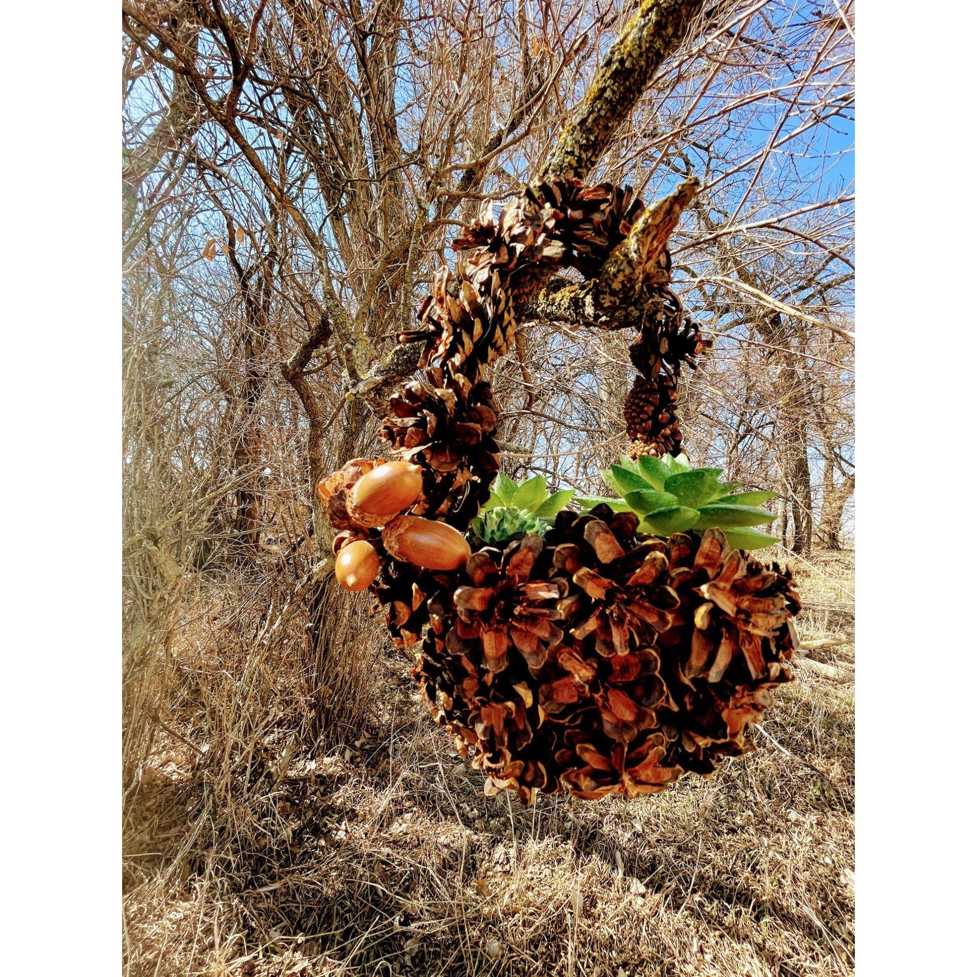 Vintage Handmade Basket All Pinecones | Shop THRILLING