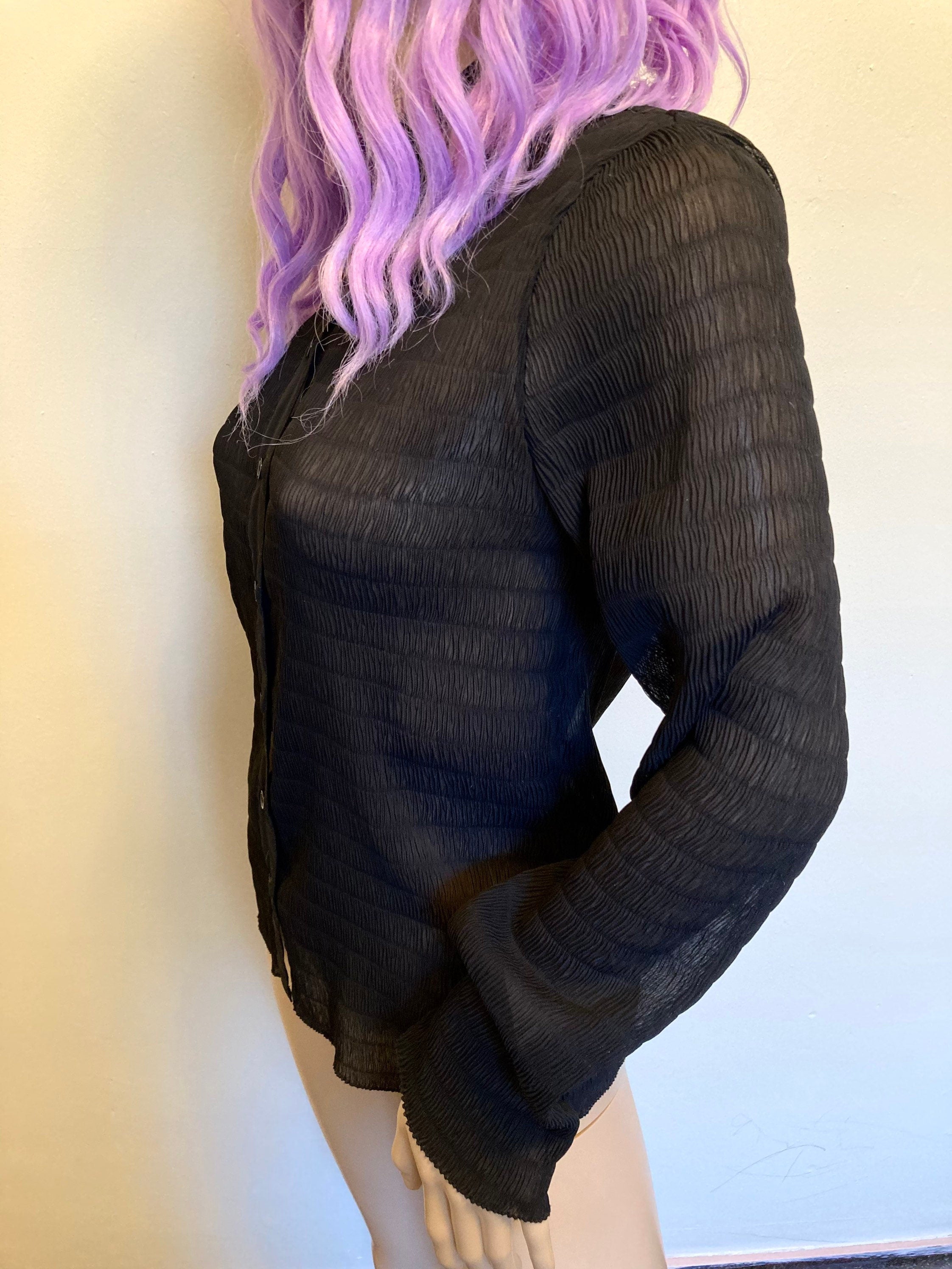 Vintage Sheer Shirred Top | Shop THRILLING