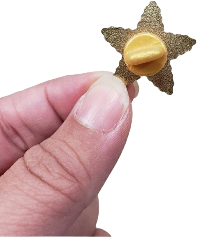 Vintage Super Star Pin | Shop THRILLING