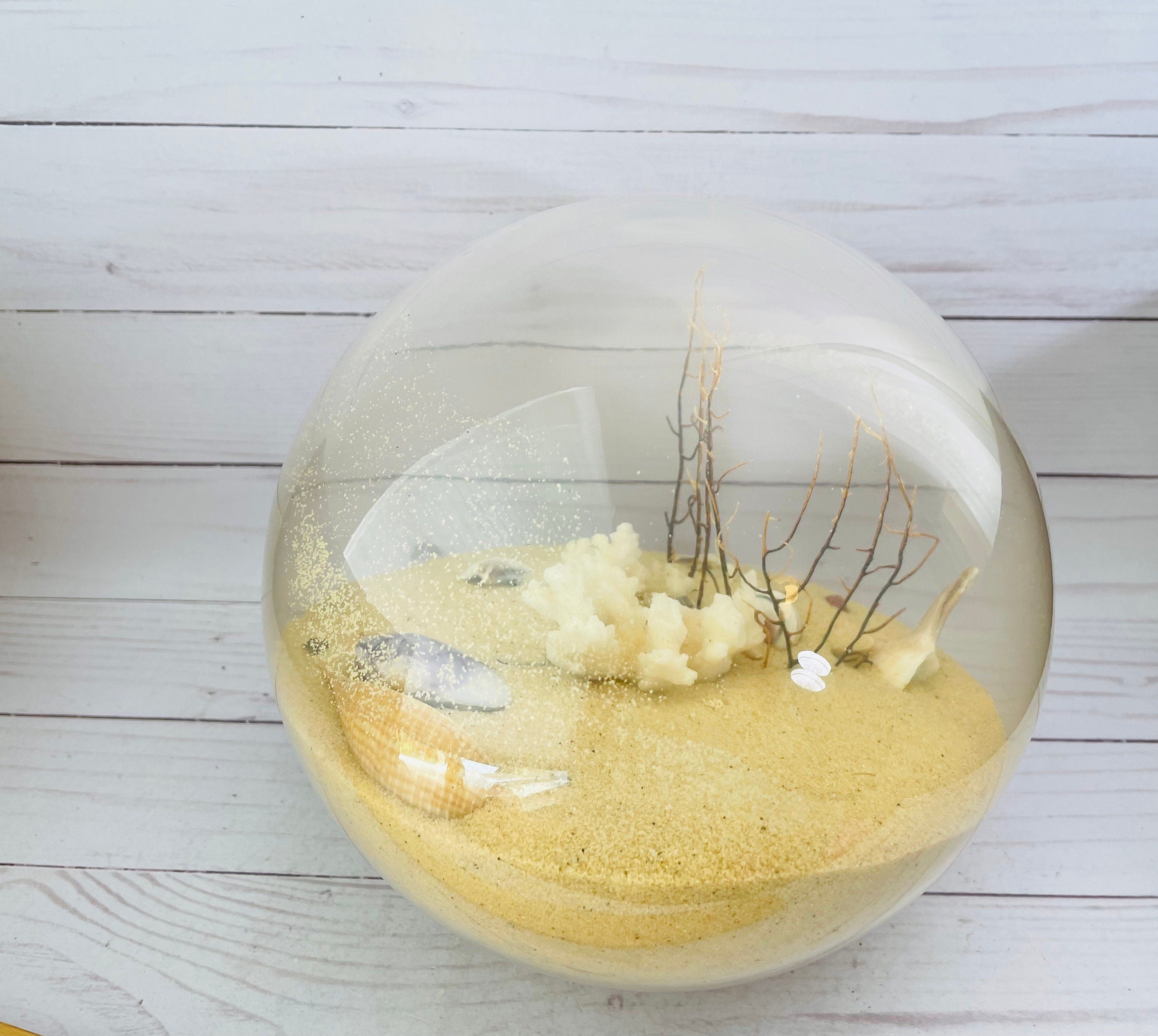 Vintage Sand and Seashells Glass Orb by Beach Ball | Shop THRILLING