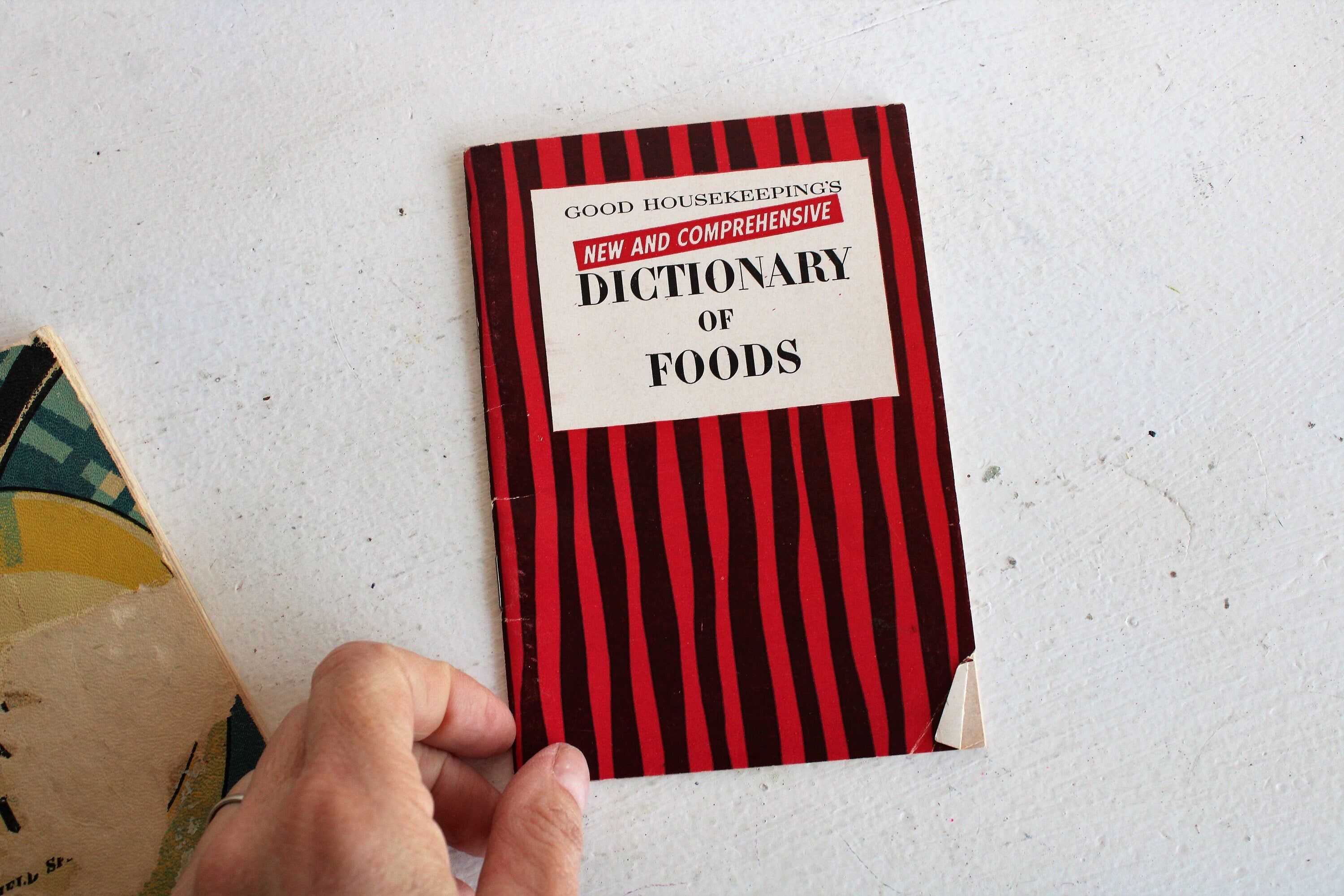 Vintage 50s Dictionary of Foods Booklet 1956 Pamphlet | Shop THRILLING