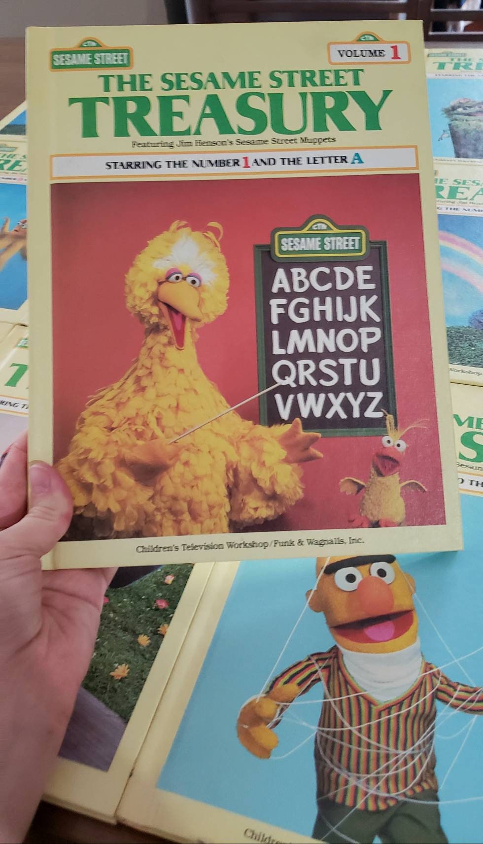 Vintage 1983 The Sesame Street Treasury Book Set of 13 Featuring Jim ...
