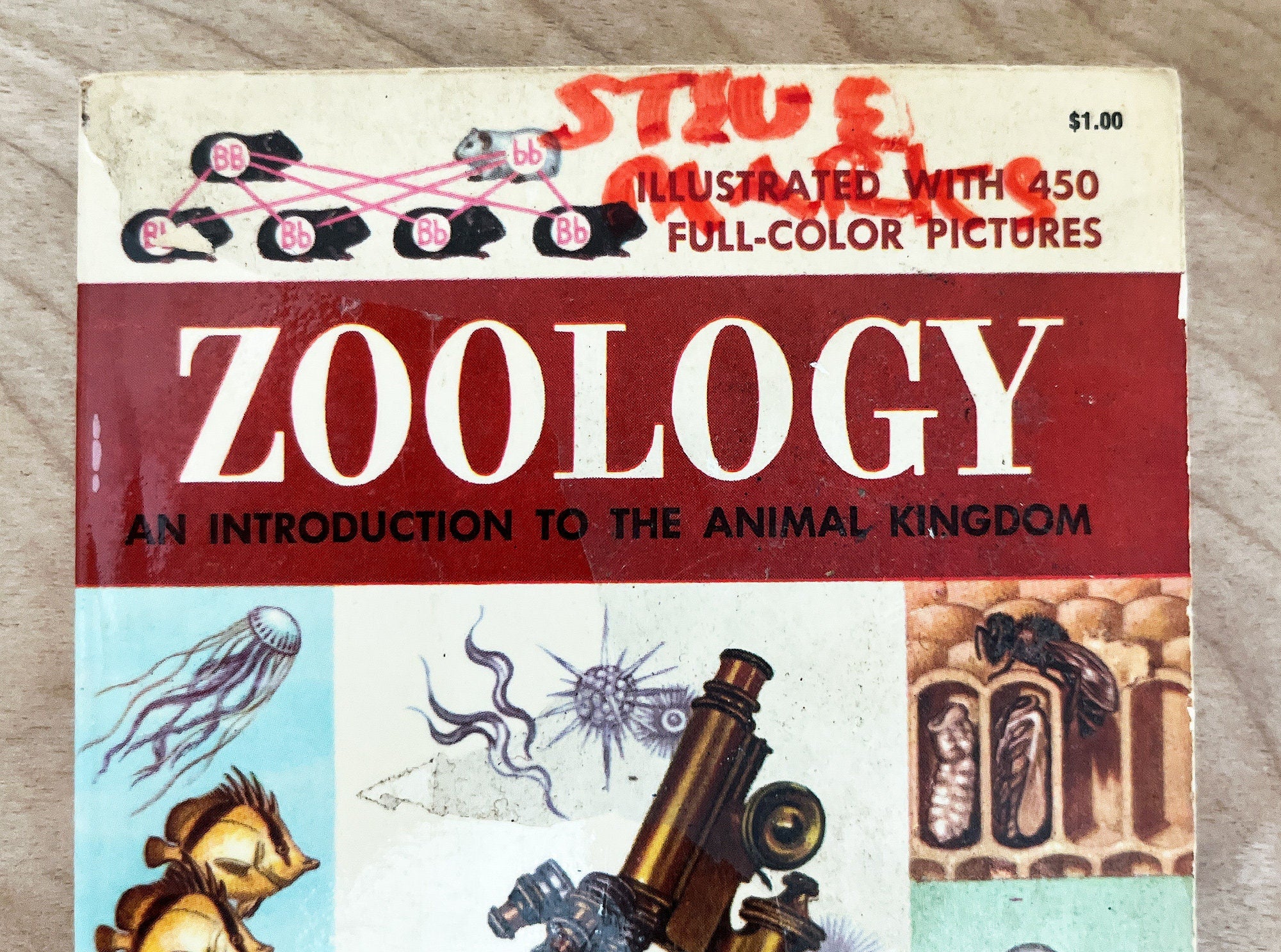 Vintage Zoology and Zoo Animals Golden Guides Set of Two Wonderful 60s ...