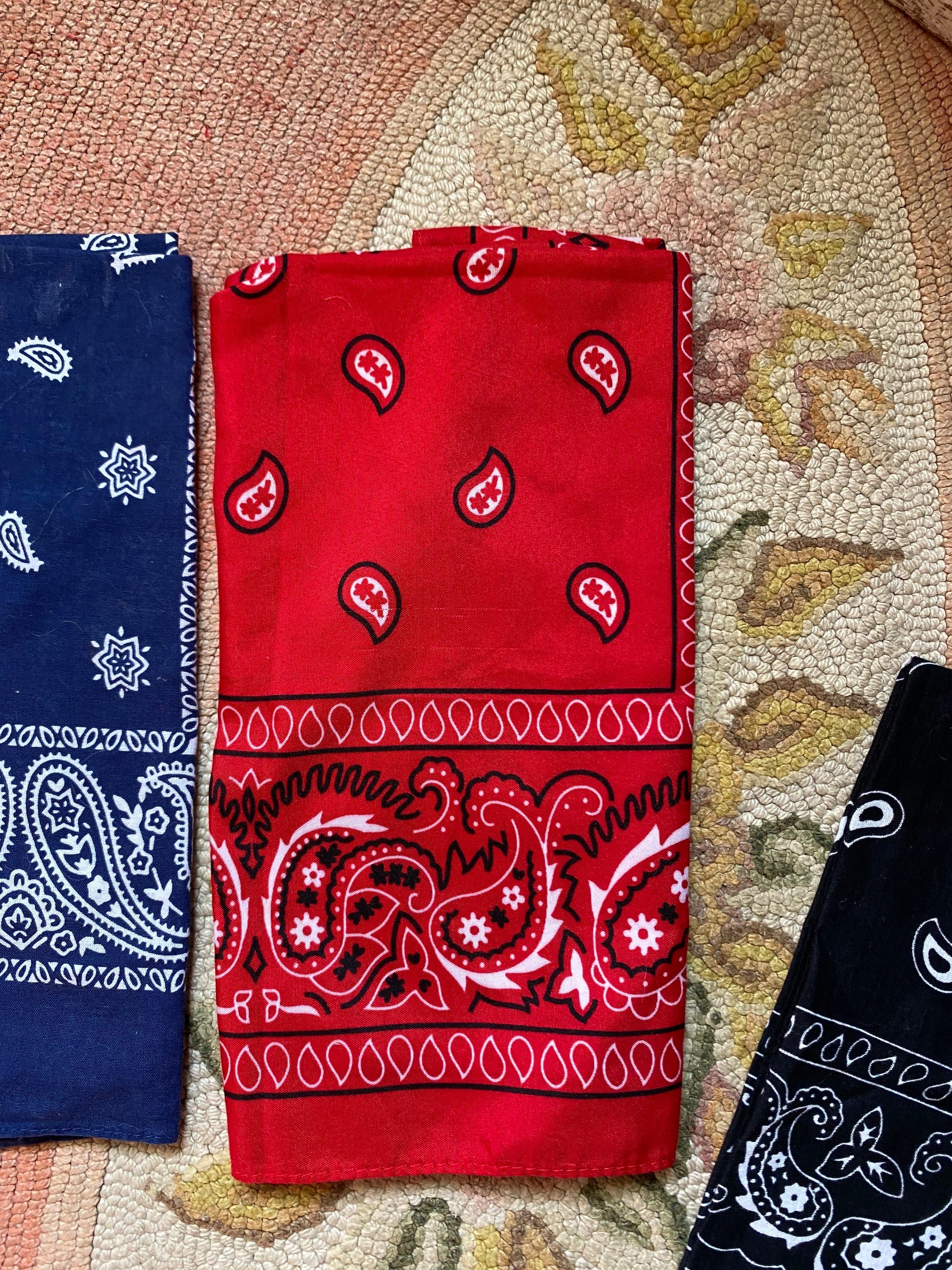 Vintage Set of 3 Hankies Red Blue and Black | Shop THRILLING