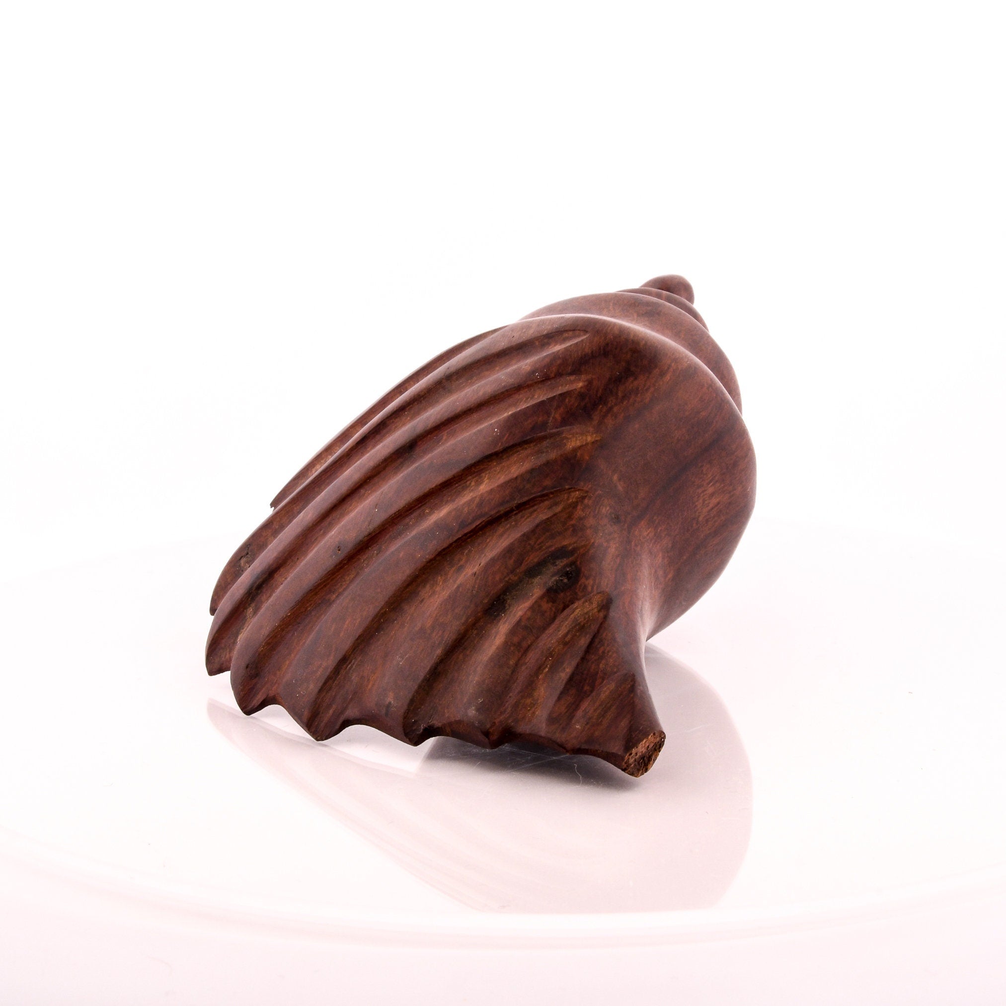 Vintage Hand-Carved Ironwood Nautilus Conch Shell | Shop THRILLING