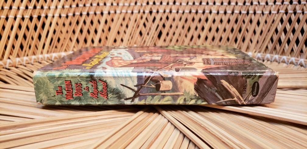 Vintage 1958 The Walton Boys In Rapids Ahead by Hal Burton | Shop THRILLING