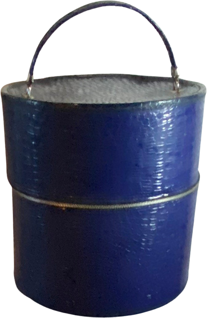Vintage Faux Reptilian Embossed Blue Vinyl Round Suitcase | Shop THRILLING