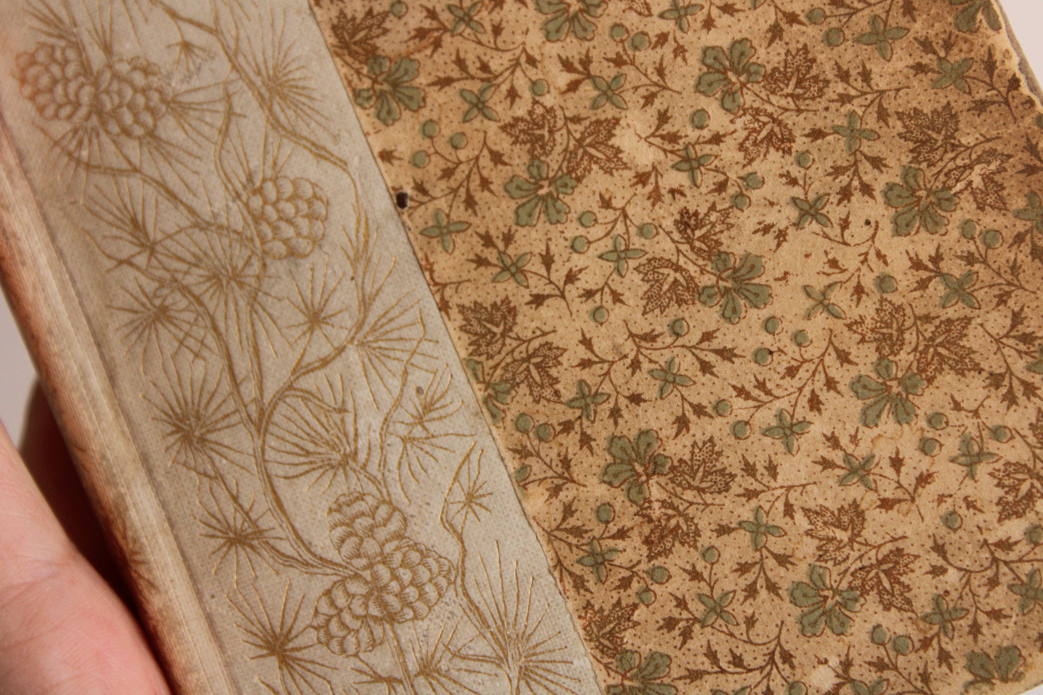 Vintage Edwardian/Victorian Antique Book "my Point Of View" Henry ...