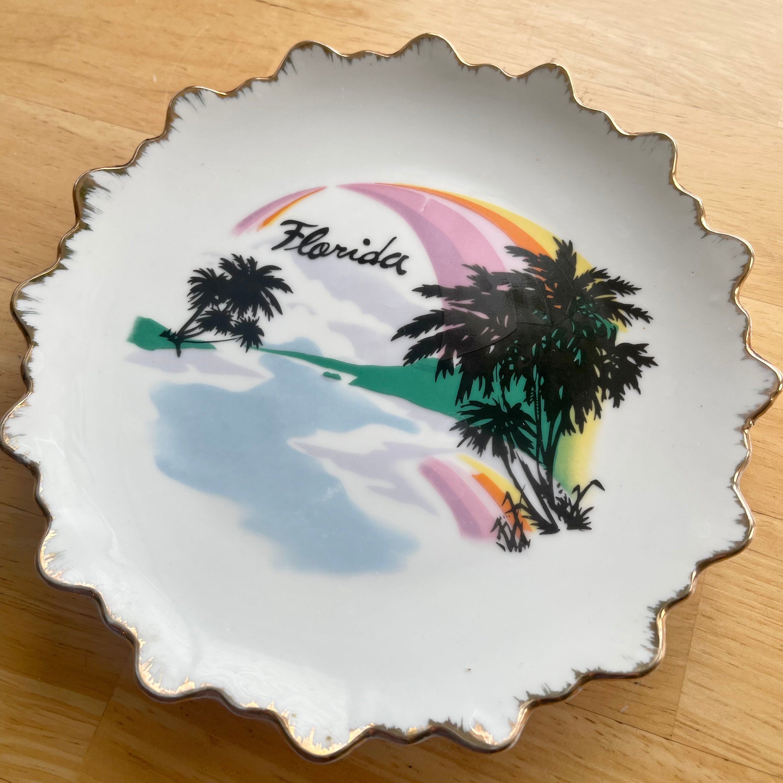 Vintage Florida Souvenir Plate Rainbow Palm Trees | Shop THRILLING