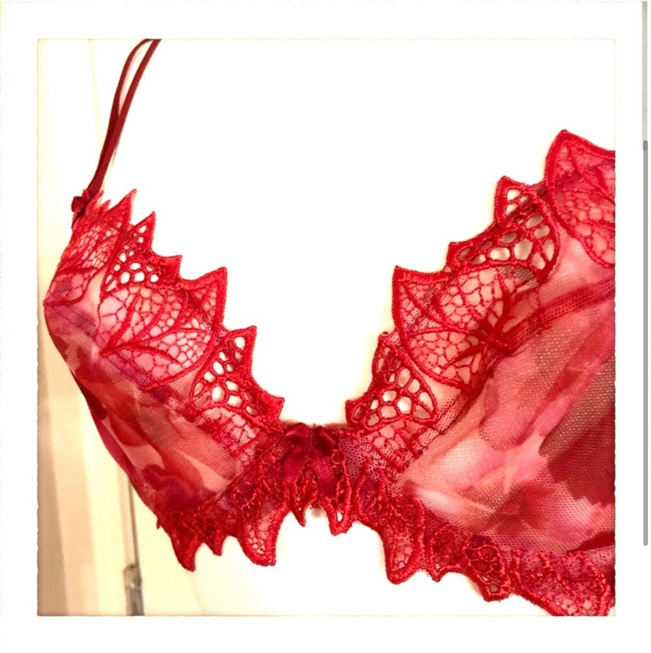 00s Vintage Lise Charmel Red Floral Bra 32c By Lise Charmel | Shop ...
