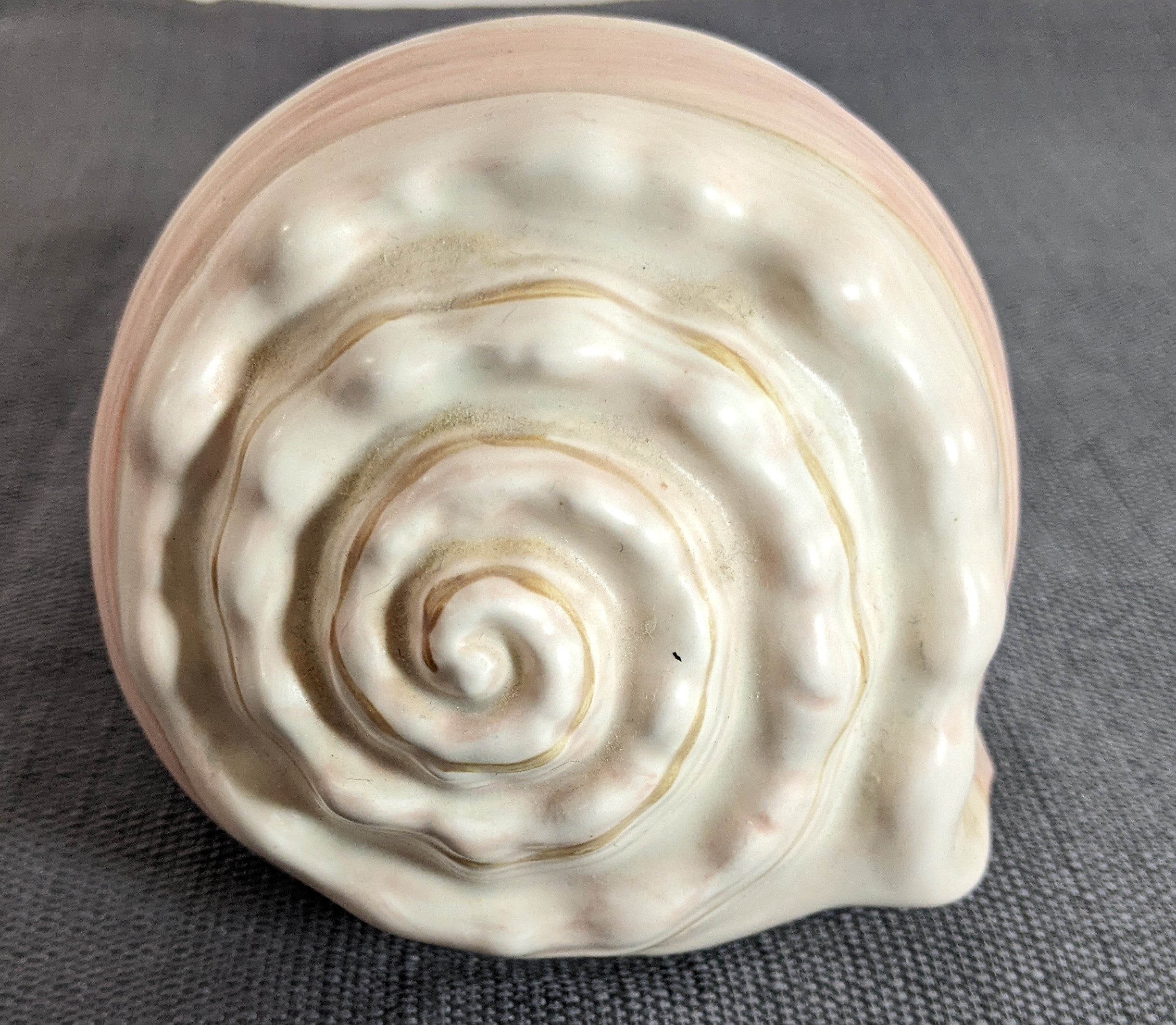 Vintage 80s Vtg Fritz And Floyd Shell Trinket Box Pink Cream By Fritz ...