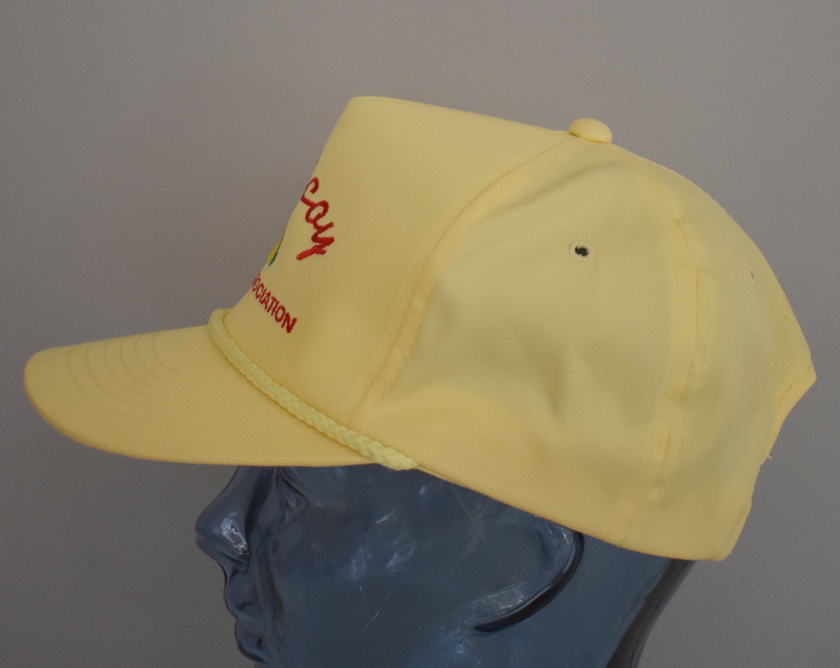 Vintage 90's Saticoy Lemon Association Hat by Youngan Hat Co. | Shop ...