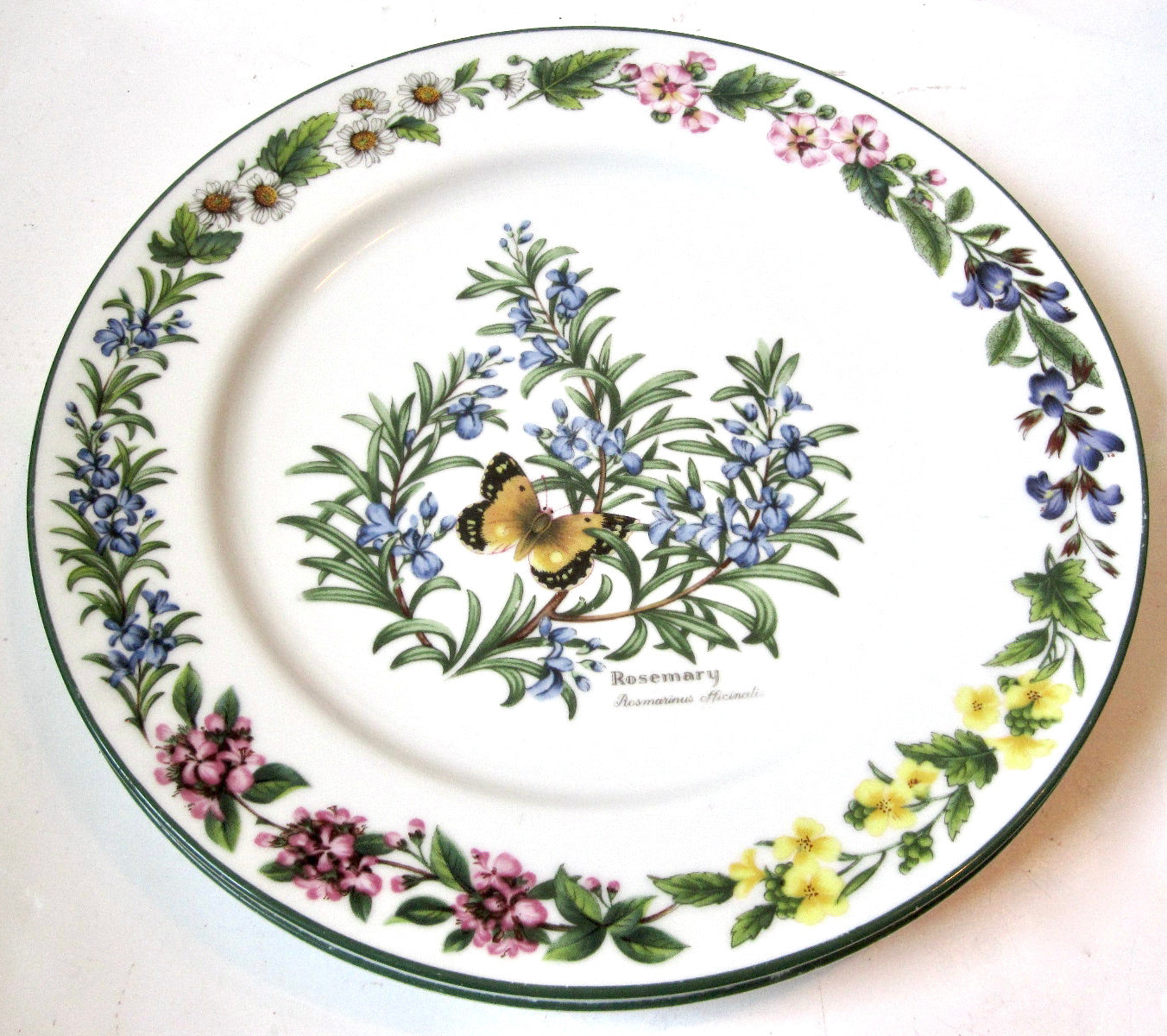 Vintage 90s Worcester Herbs 2 Dinner Plates Botanical Rosemary By Royal ...
