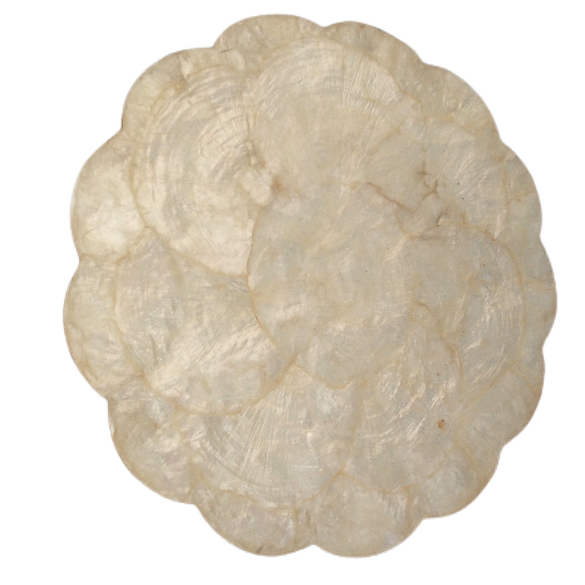 Vintage 60s/70s Kappa Shell By Kappa Shell | Shop THRILLING