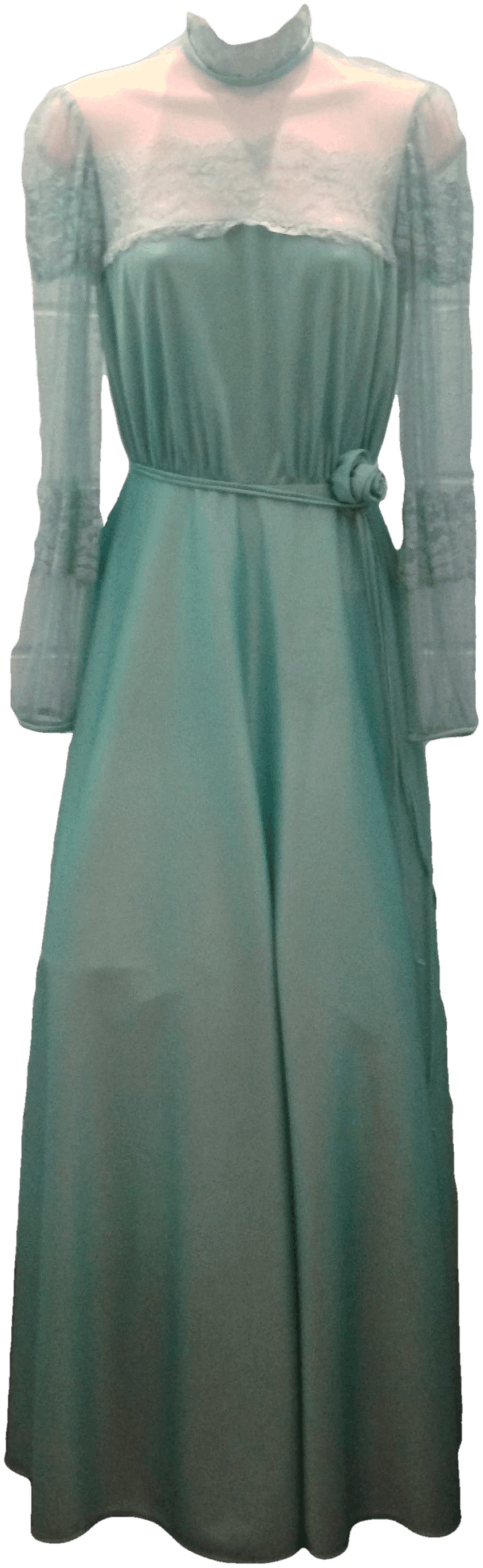 Vintage 70's Polyester Gown with Lace | Shop THRILLING
